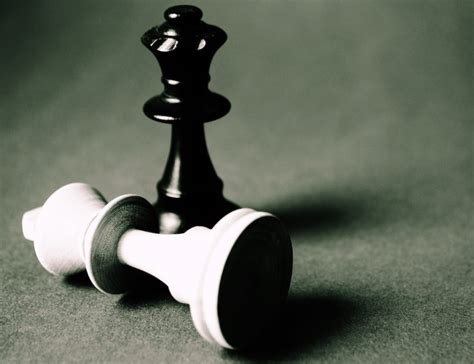 Visualization Scripts