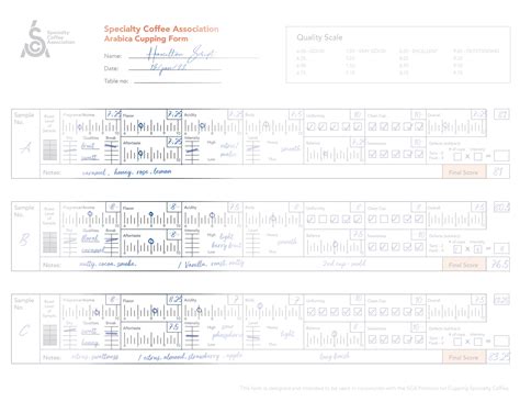 Flavor Properties Sca Cupping Form Helena Coffee Vietnam