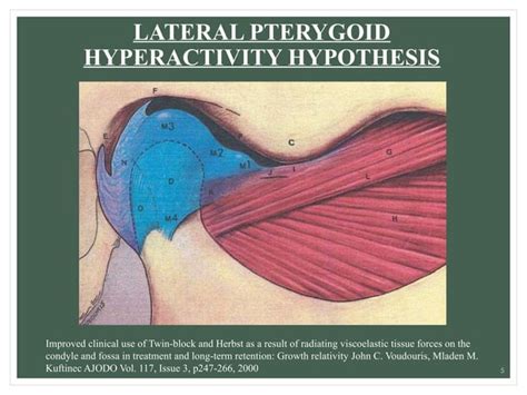 Growth Relativity Hypothesis Orthodontics Pptx