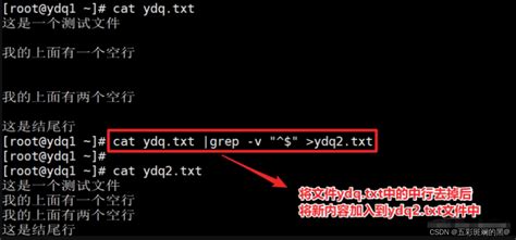 Shell之正则表达式及三剑客grep命令 链接 Shell之正则表达式及三剑客grep命令 Csdn博客