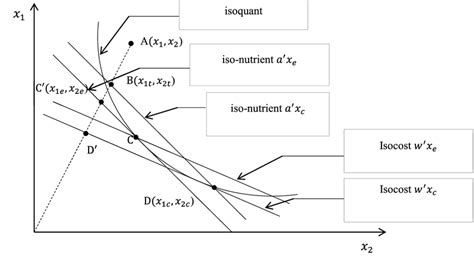 Cost And Environmental Efficiency Under Nutrient Minimization Sources Download Scientific