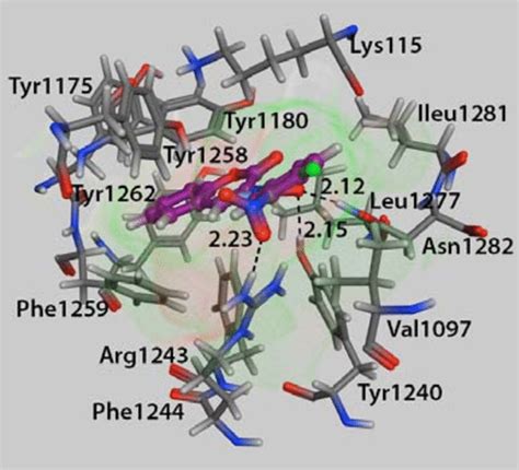 Molecular Docking Interaction Model For The Most Potent Antibacterial