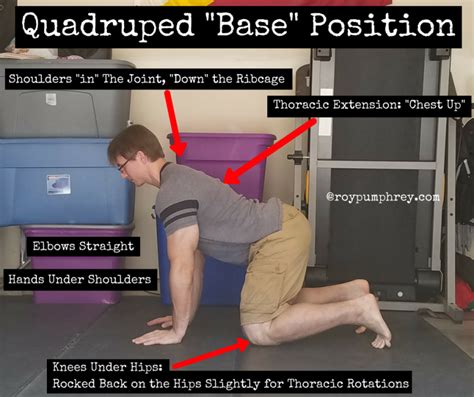 Quadruped Thoracic Rotation Open Up Your Ribcage Save Your Low Back