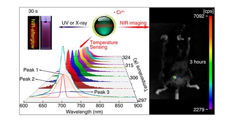 Ratiometric Afterglow Nanothermometer For Simultaneous In Situ Bioimaging And Local Tissue
