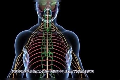 神经病和精神病一样吗到底有什么区别听完医生解释后恍然大悟 区别 医生 什么
