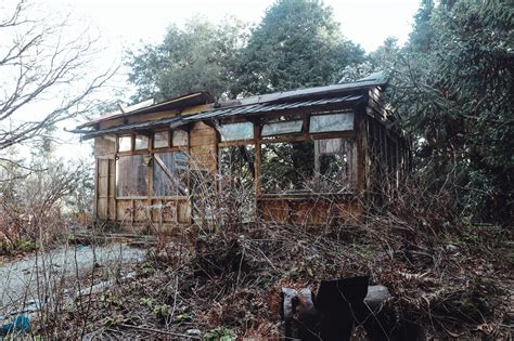 巒安堂上西巒大山探訪林業遺跡浪漫至極 健行筆記