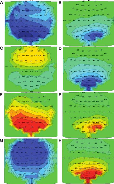 Snapshots Of The Spatiotemporal Dynamics Of The Most Dominant