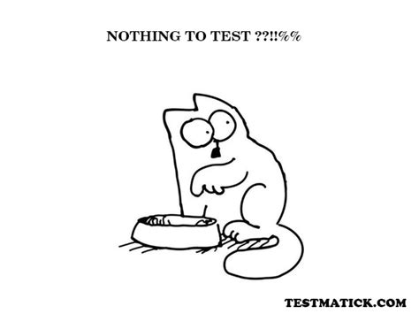 Pin On Software Testing Humor