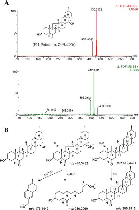 The Ms Spectra In Positive Mode A And The Proposed Fragmentation