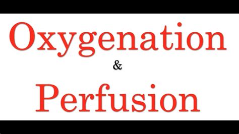 Oxygenation And Perfusion Youtube