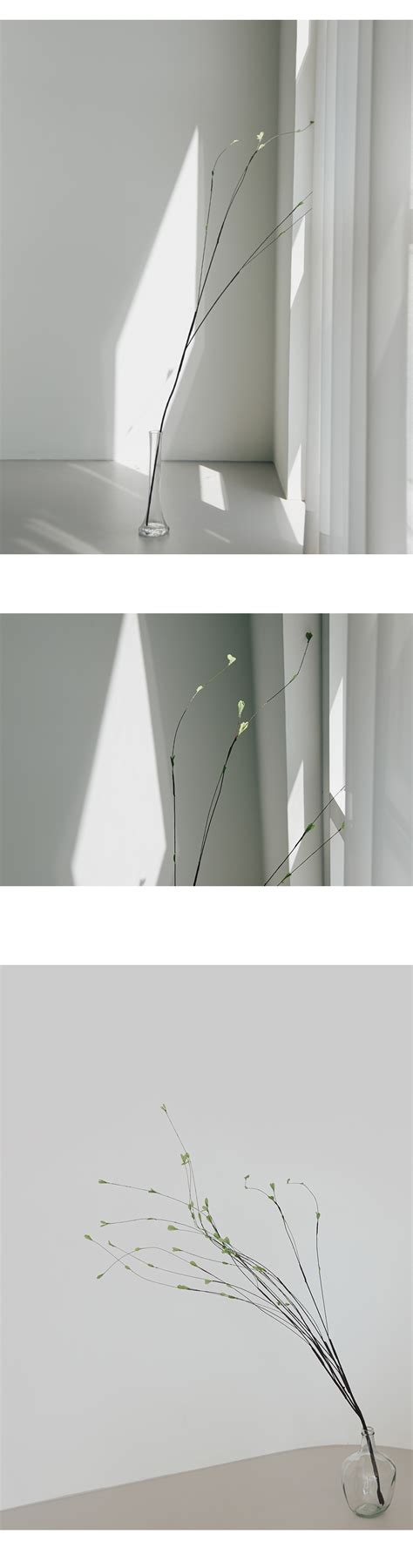 곱슬버들 버드나무 가지조화 감도 깊은 취향 셀렉트샵 29cm