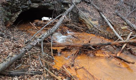 AMD Remediation Bill Paflyfish