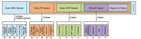 Vxlan Segments And Packet Format Download Scientific Diagram
