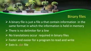 CBSE Class 12 Ch 5 File Handling Access Mode CSV Binary File