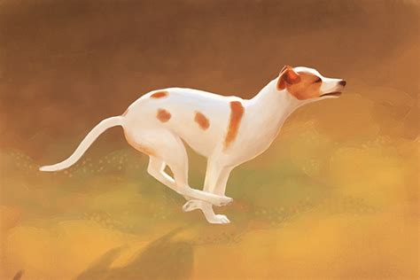 tutorial on filters and blending modes on behance