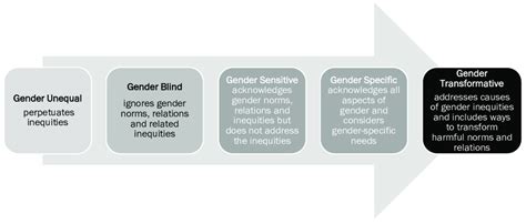 Gender Integration Continuum Reproduced Adaptation With Permission Download Scientific Diagram