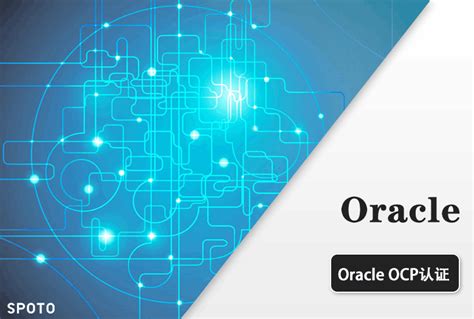 Oracle甲骨文认证专家课程 Spoto思博网络