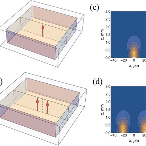Schematics Of A Gel Sample With A One And B Two Propagating