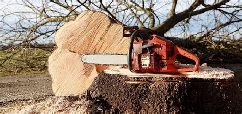 How To Remove A Stump With A Chainsaw 5 Steps Instruction