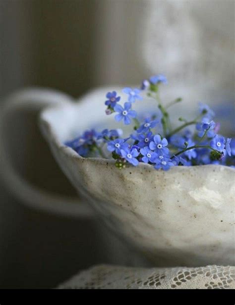 Pin On цветы в вазах Nothing But Flowers Flower Therapy Nature Garden