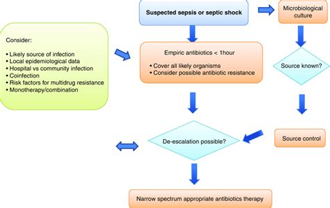 1 Flowchart Showing Infection Management In Patients With Sepsis Or