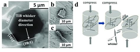 A The Hexagonal Cross Section Of The In Situ Tib Whisker Bc Tib