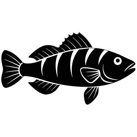 Peacock Bass Silhouette In Clear Waters 54072084 Vector Art At Vecteezy