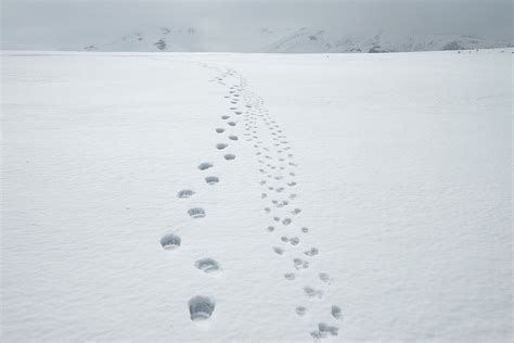 Сегодняшняя встреча: shpilenok — LiveJournal