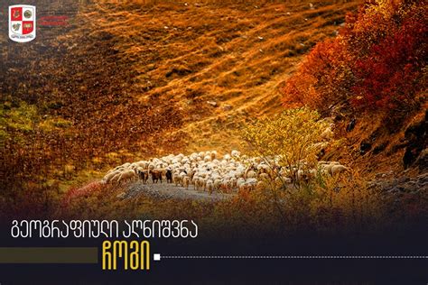 გეოგრაფიული აღნიშვნა „ჩოგი“ „საქპატენტში“ არის რეგისტრირებული Knews Ge