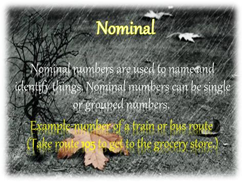 Determiners Class 10th Pptx