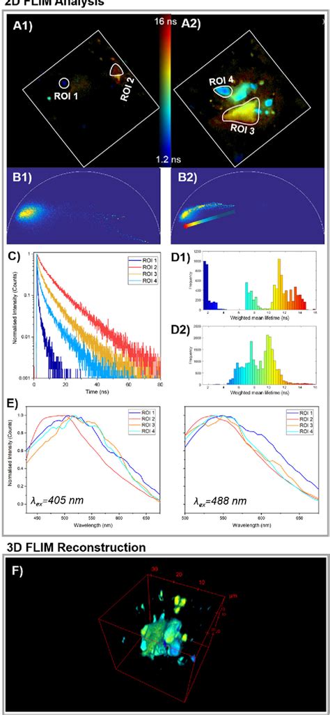 Figure 3 From Multimodal Imaging Of Autofluorescent Sites Reveals Varied Chemical Speciation In