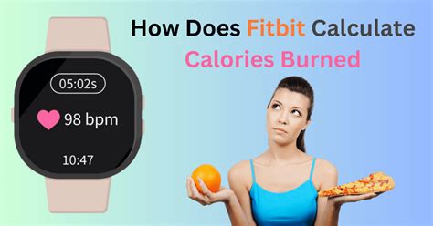 How Does Fitbit Calculate Calories Burned What Is Bmr