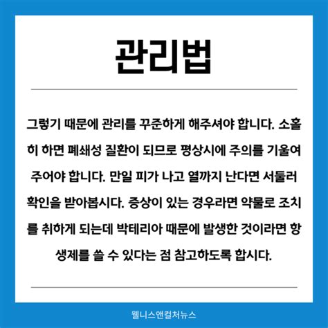 기관지염 증상 및 관리 한국인플루언서신문
