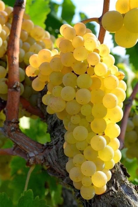 ️ბუნება და სილამაზე ️ ყველა