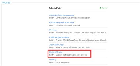 Using The Custom Metrics Policy In Red Hat 3scale Api Management Red