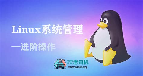 【linux网络管理】gost端口中转加速一键脚本 it老司机
