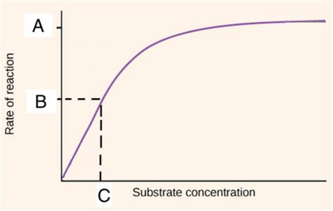 Lab 1 6 Review Questions Flashcards Quizlet