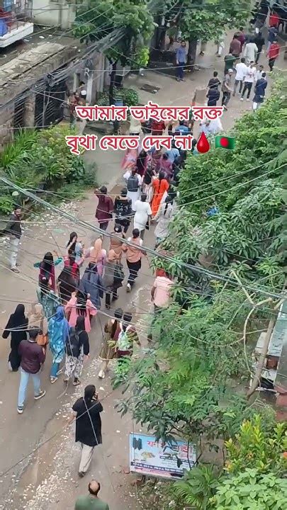 বৈষম্যবিরোধী ছাত্র আন্দোলন। আমার ভাইয়ের রক্ত বৃথা যেতে দেব না। কোঠা ছাএ আন্দোলন। দেশপ্রেম