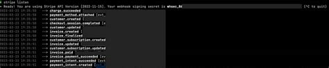 saving incoming data from stripe questions help elixir