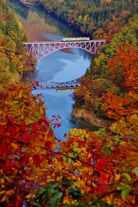 只見線第1橋梁の紅葉上段 by トッシータマ ID8230861 写真共有サイト PHOTOHITO
