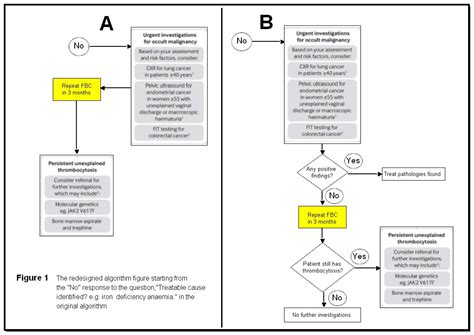The Two No Responses To The Treatable Cause Identified Question In The Thrombocytosis