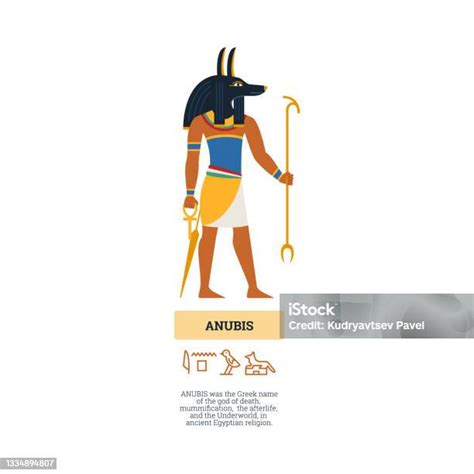 아누비스 고대 이집트 신과 카드 흰색에 고립 평면 벡터 일러스트 아누비스에 대한 스톡 벡터 아트 및 기타 이미지 아누비스