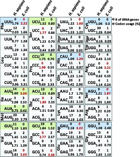 Differences In Trna Gene Content Across Organisms Codons Boxed In Blue Download Scientific