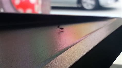 모기 짝짓기 교미 Mosquito Sex Youtube