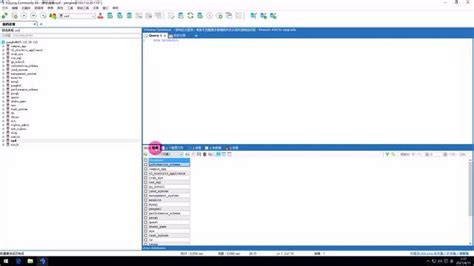 SQLyog 13 中文版 安装教程详细 高清1080P在线观看平台 腾讯视频