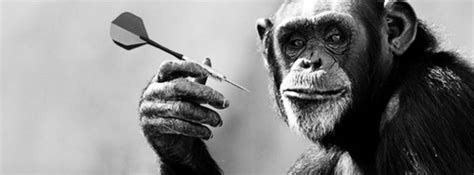 Dart Monkey Irl R Btd