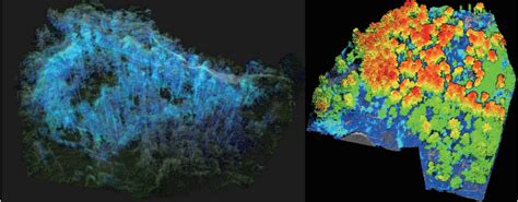 application of cygnus slam scanner in forestry surveys geo matching
