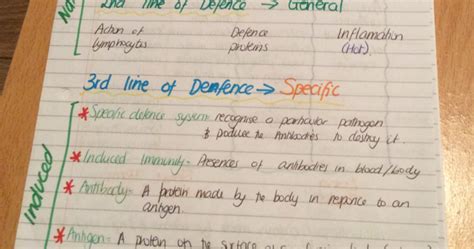 Immunity Human Defence System