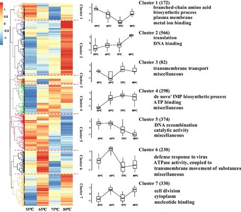clustering analysis for proteome data data were normalized before