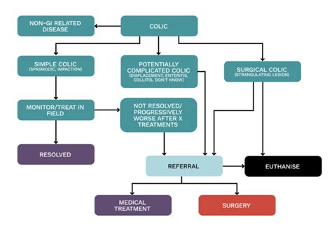 Colic When To Refer Veterinary Practice
